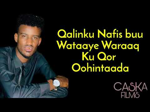 heesta khalid kaamil habeen walbahar da ayo
