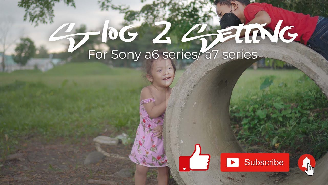 S-Log 2 Setting for Sony Mirrorless - YouTube