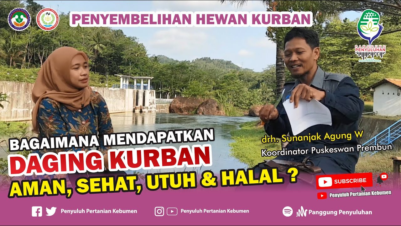 Bagaimana mendapatkan Daging Kurban yang Aman, Sehat, Utuh dan Halal ...