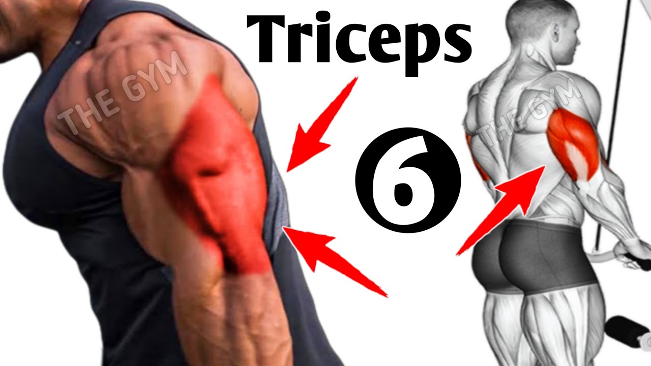 6 Effective Triceps Exercises At Gym - Triceps Workout - YouTube
