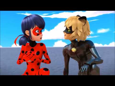 Despacito    Mucize: uğurböceği ile karakedi