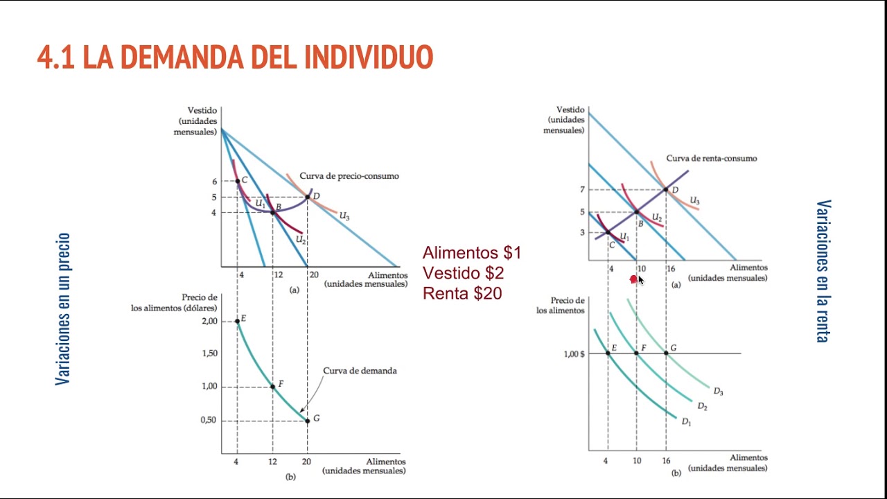La demanda del individuo y del mercado - YouTube