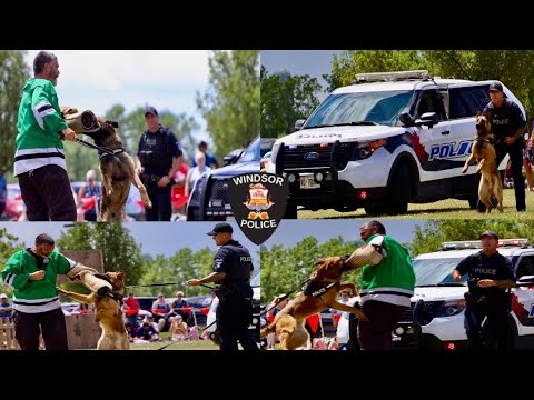 Police K-9 Units - Takedowns - Windsor Police - Dog Show - 2024 - YouTube