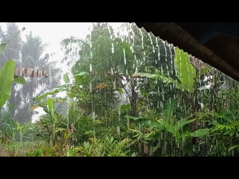 Gündüz Şiddetli Yağmur Sesleri 🌧️ Derin Uyku ve Rahatlama İçin Huzurlu Yağmur | Sakin Günd