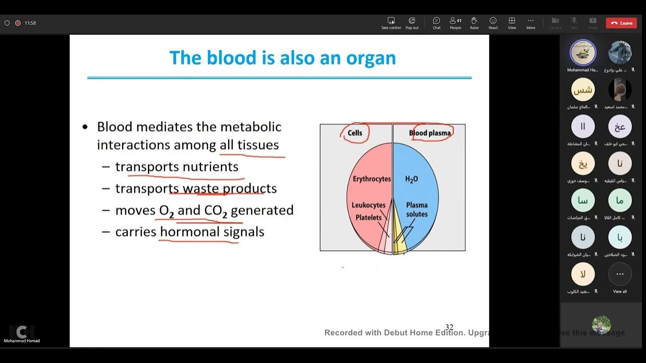 Biochemistry Lecture 36 - YouTube