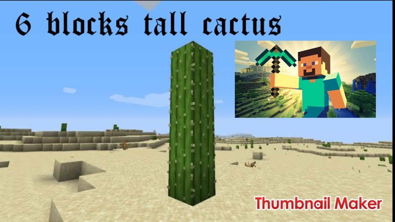 I found 6 blocks tall cactus - YouTube