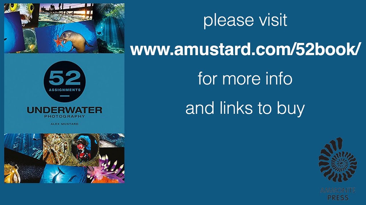 Alex Mustard on his new book 52 Assignments: Underwater Photography - YouTube