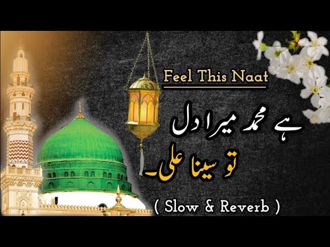Hai Muahmmad Mera Dil Tu Sina Ali | Slow & Reverb | Black Screen
