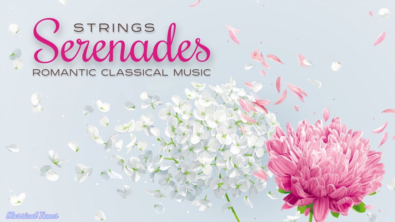 Strings Serenades | Romantic Classical Music - YouTube