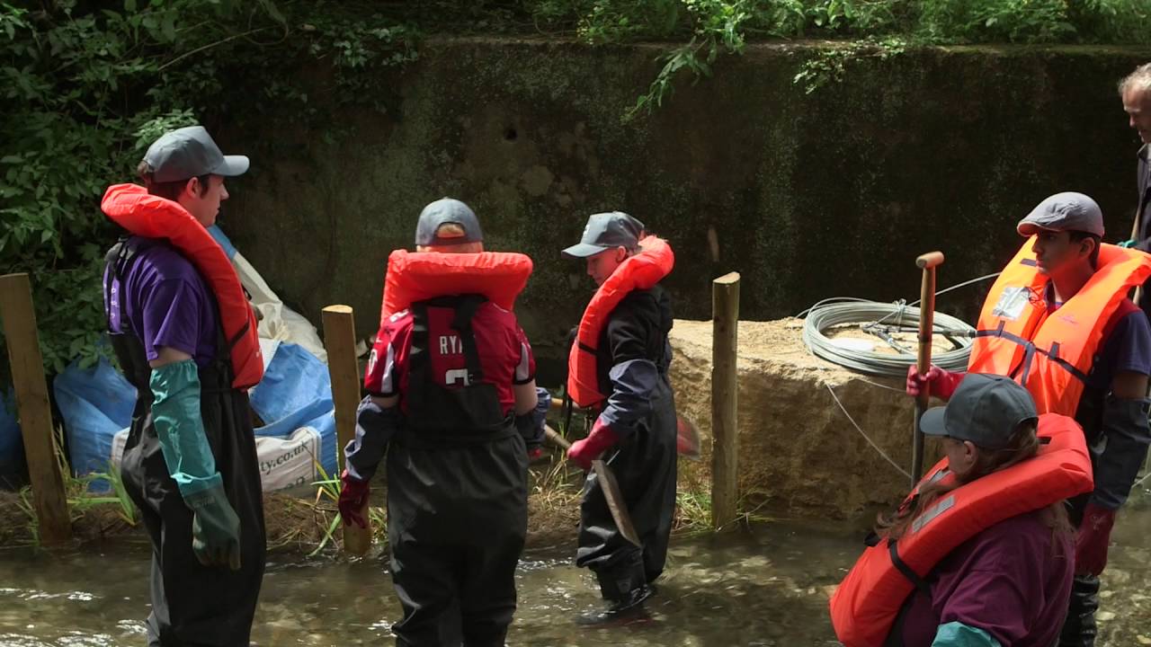 Young Roots Project Volunteer Diary - YouTube