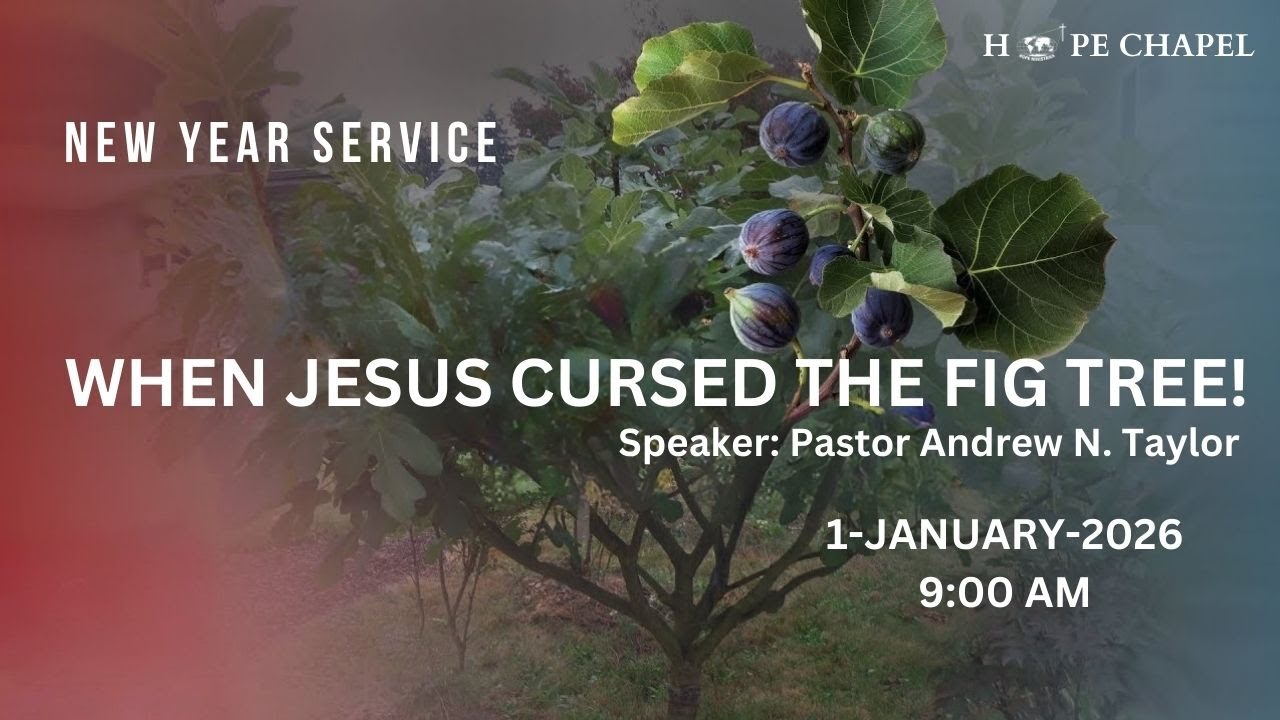 Hope Chapel | When Jesus Cursed the Fig Tree | Pastor Andrew N. Taylor ...