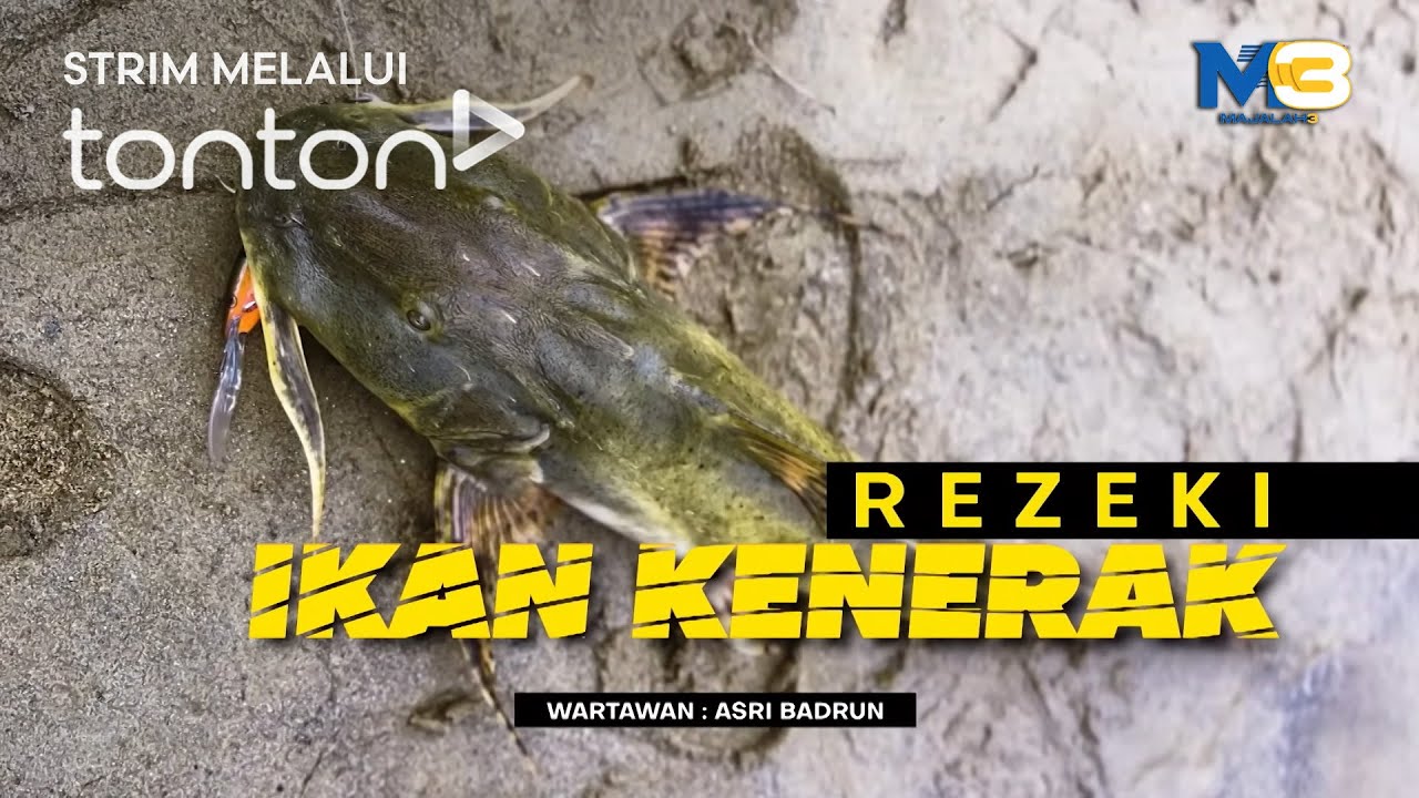 [FULL] Majalah 3 (2025) | Mon, Sep 22 - Rezeki Ikan Kenerak | Tonton ...