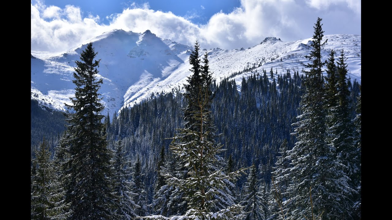 TURE GUIDE - SkiToURE Life - YouTube