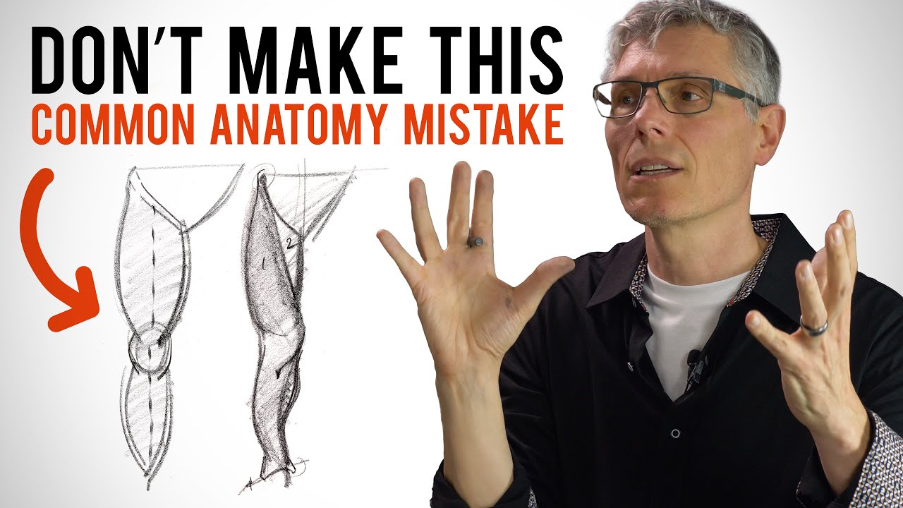 How Asymmetry and Anatomy Go Hand in Hand - YouTube