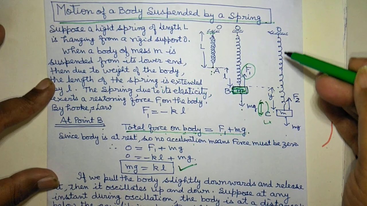 Motion of a body suspended by a spring ~ class 11 physics - YouTube