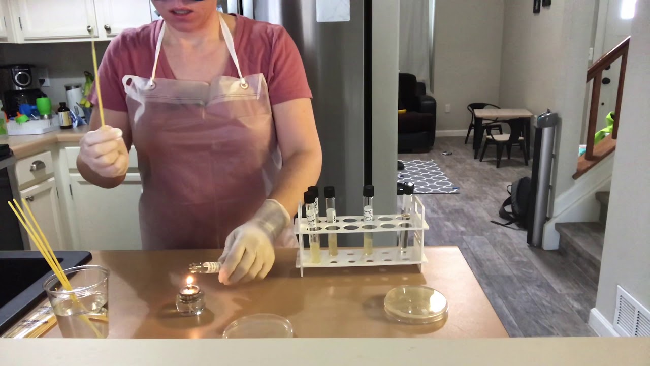 Micro aseptic lab video 2 - YouTube