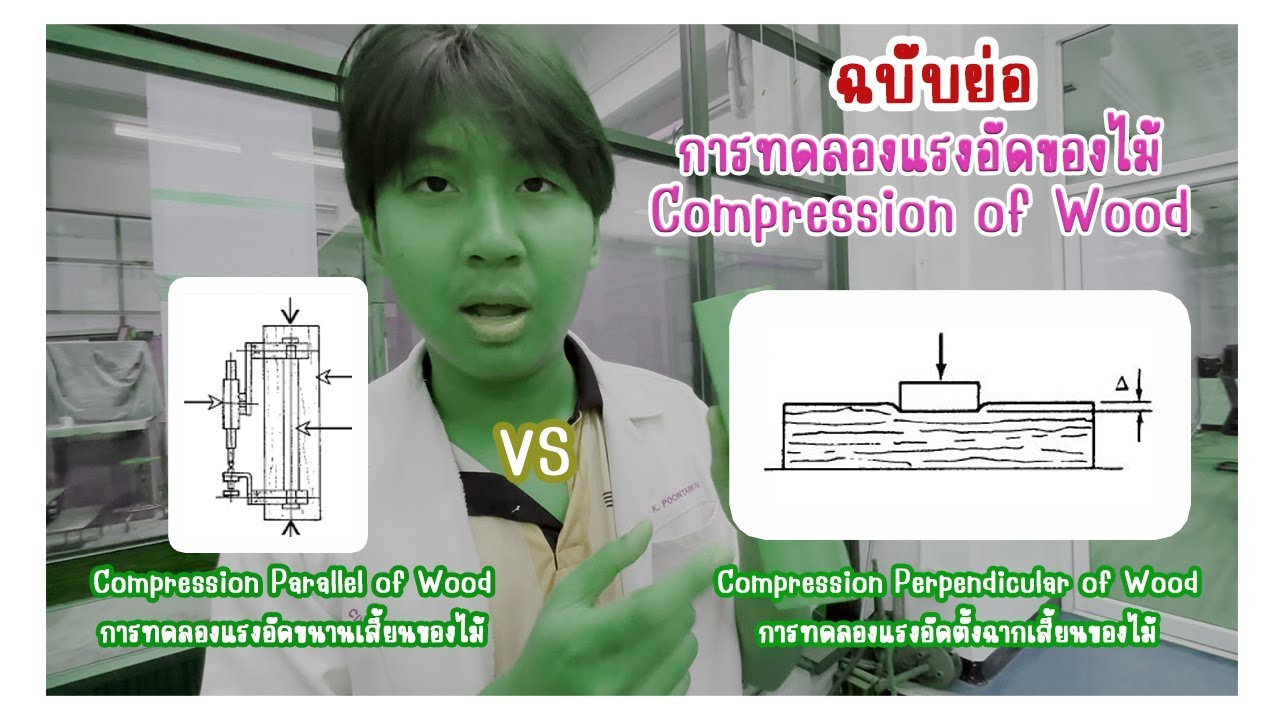 ฉบับย่อ Compression Parallel and Perpendicular of Wood - YouTube