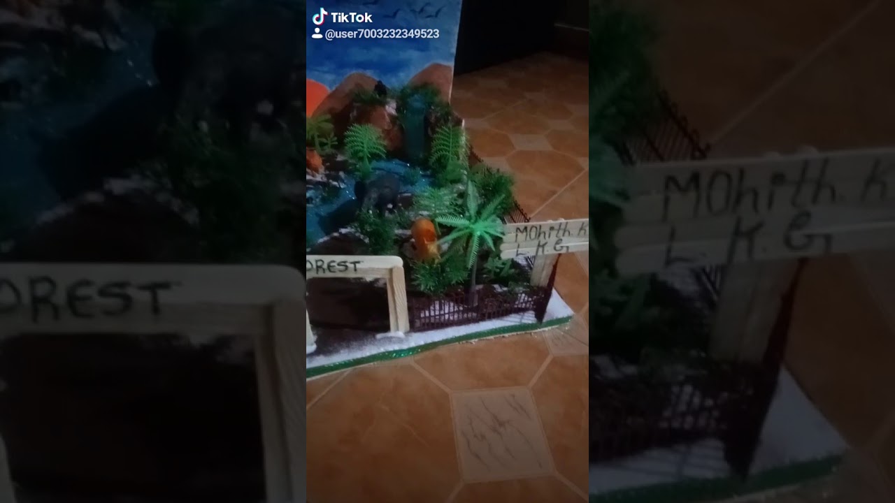 Forest model making for school project... - YouTube