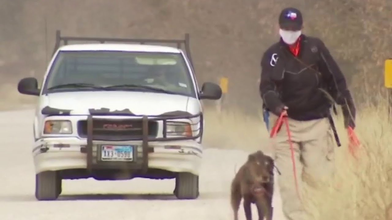 Law enforcement searching for Texas State student who disappeared after ...