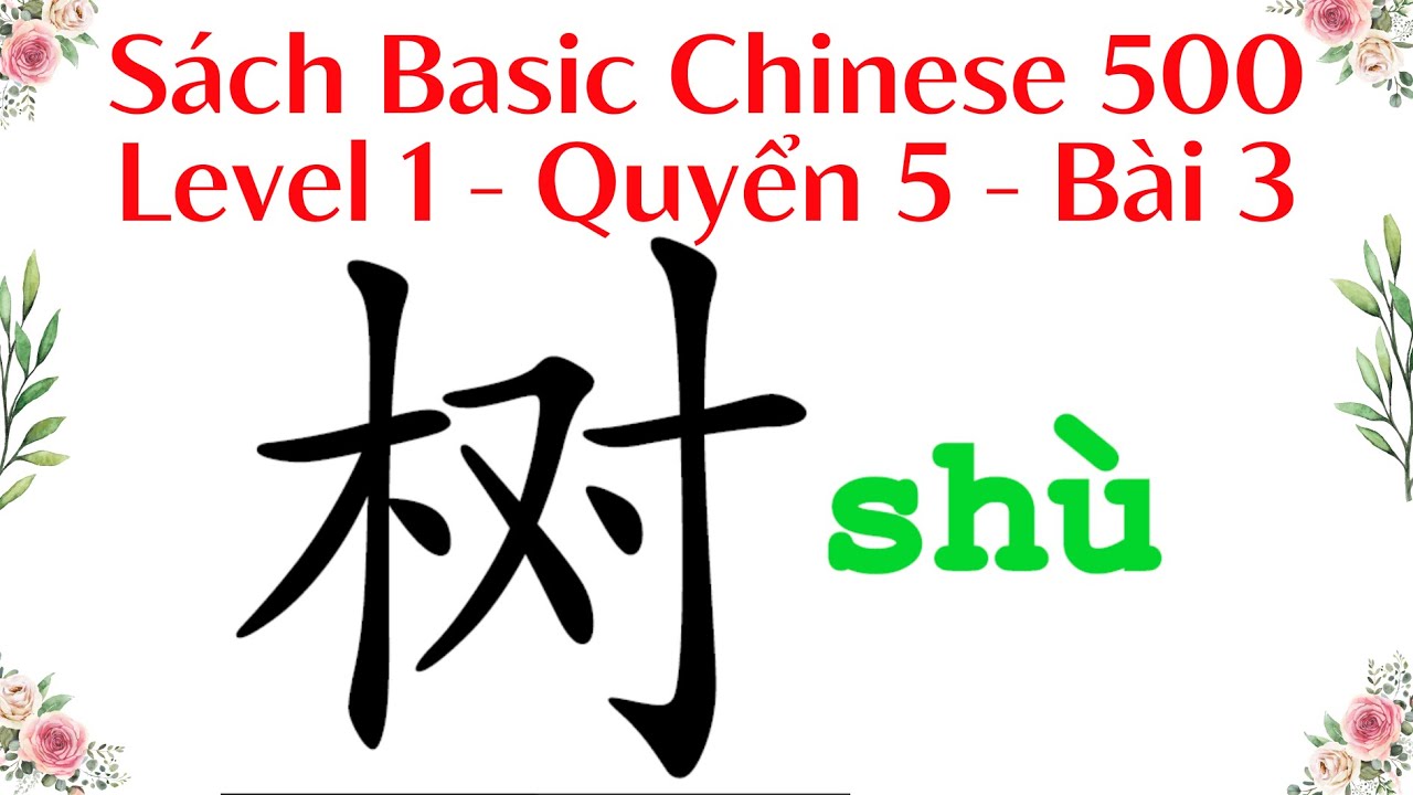 Bài 3: 树 - Basic Chinese 500 Level 1 Quyển 5 #BasicChinese500NN - YouTube