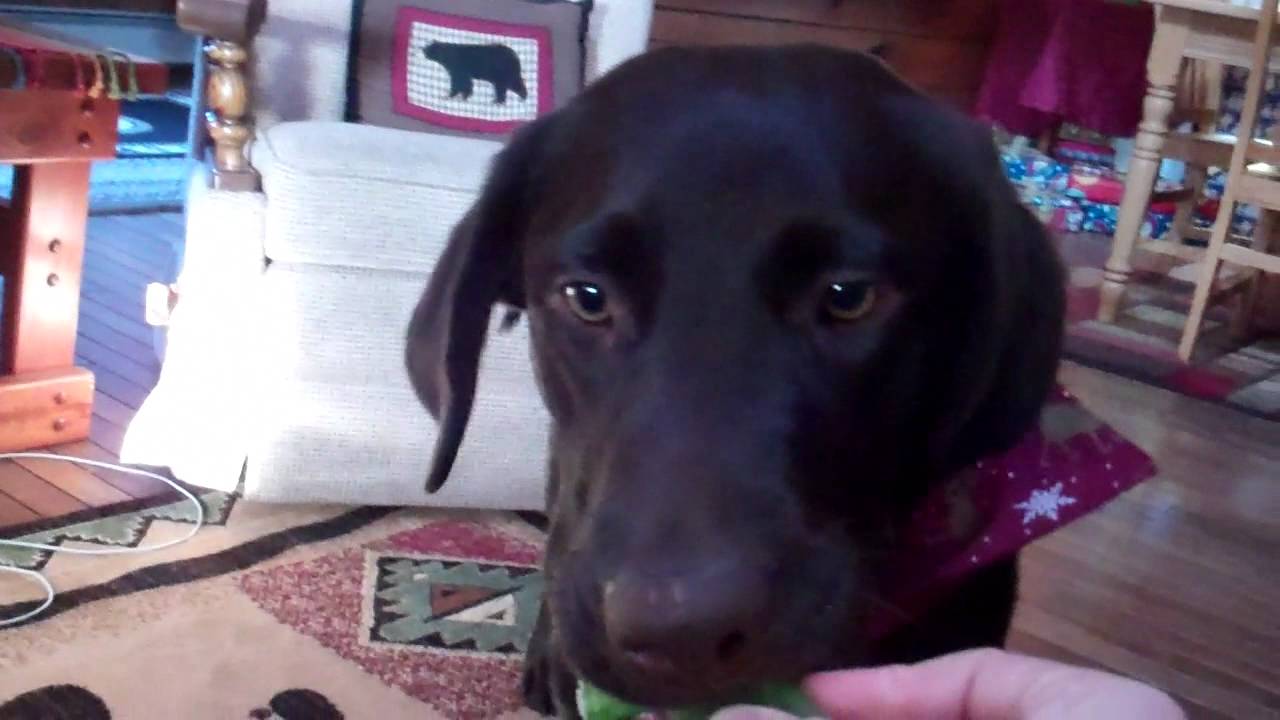 20 minutes later... - YouTube