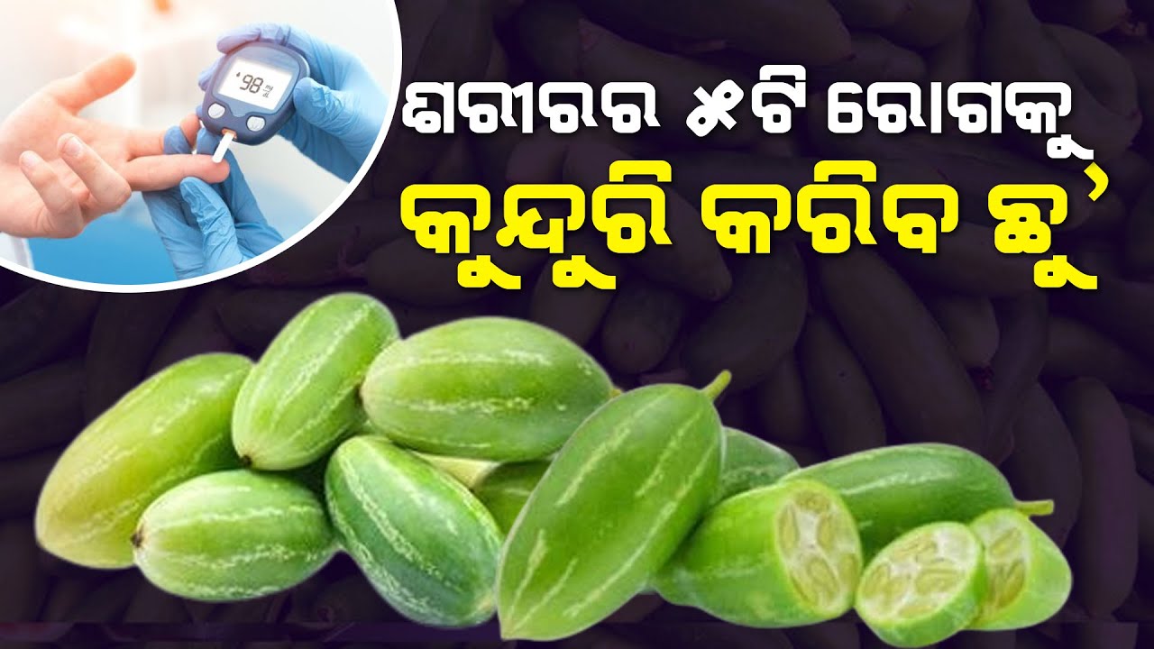 Kundri (Ivy Gourd) Health Benefits EXPOSED ! Superfood for Diabetes ...