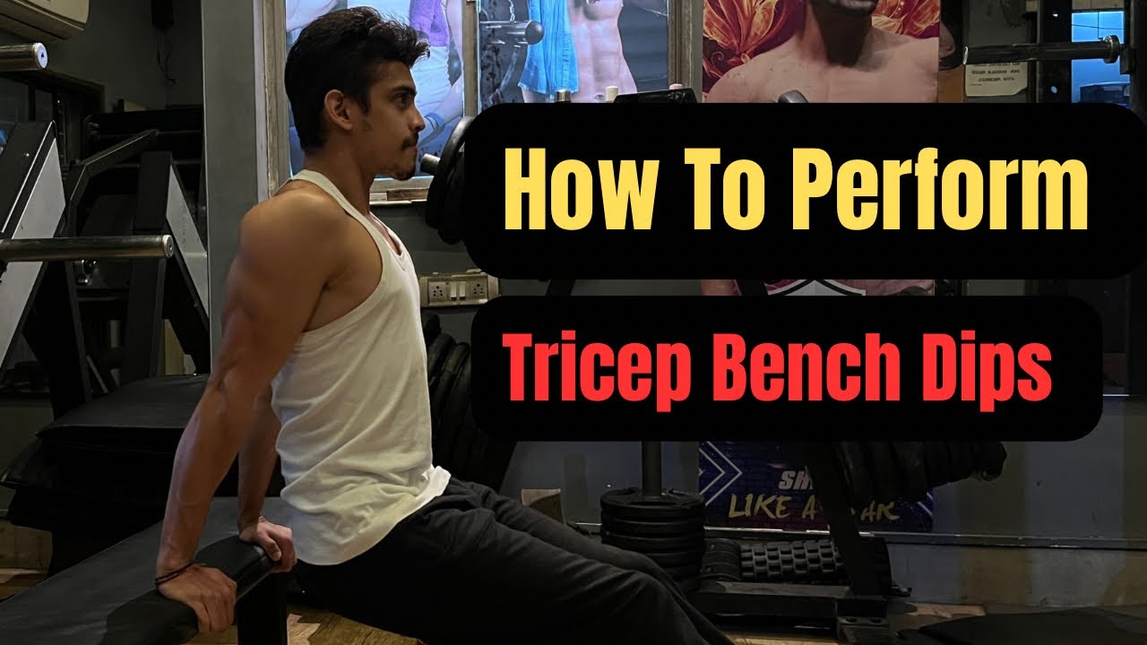 How To Perform Tricep Bench Dips | Tricep workout | Beginners Tips ...