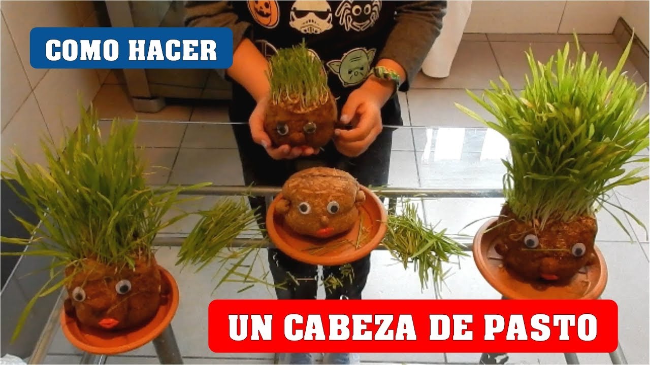 Como hacer un CABEZA DE PASTO - YouTube