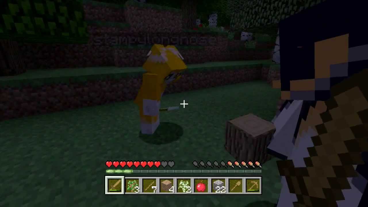 Minecraft Stampy And Rosie