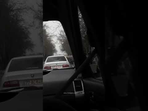 🌝️Whatsapp üçün mənalı statuslar, status üçün qısa videolar sevgiyə aid video yeni sounds app