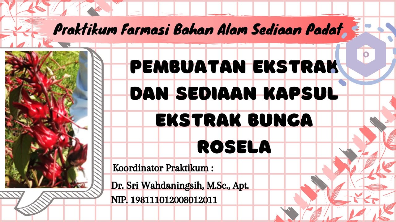 PRAKTIKUM PEMBUATAN EKSTRAK DAN SEDIAAN KAPSUL EKSTRAK BUNGA ROSELA ...