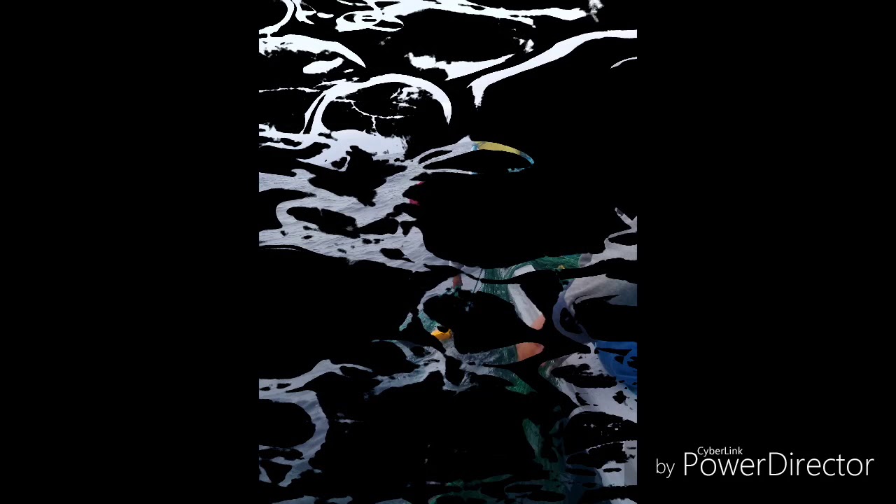 Pez picudo gacho ... pesca en trasmallo - YouTube