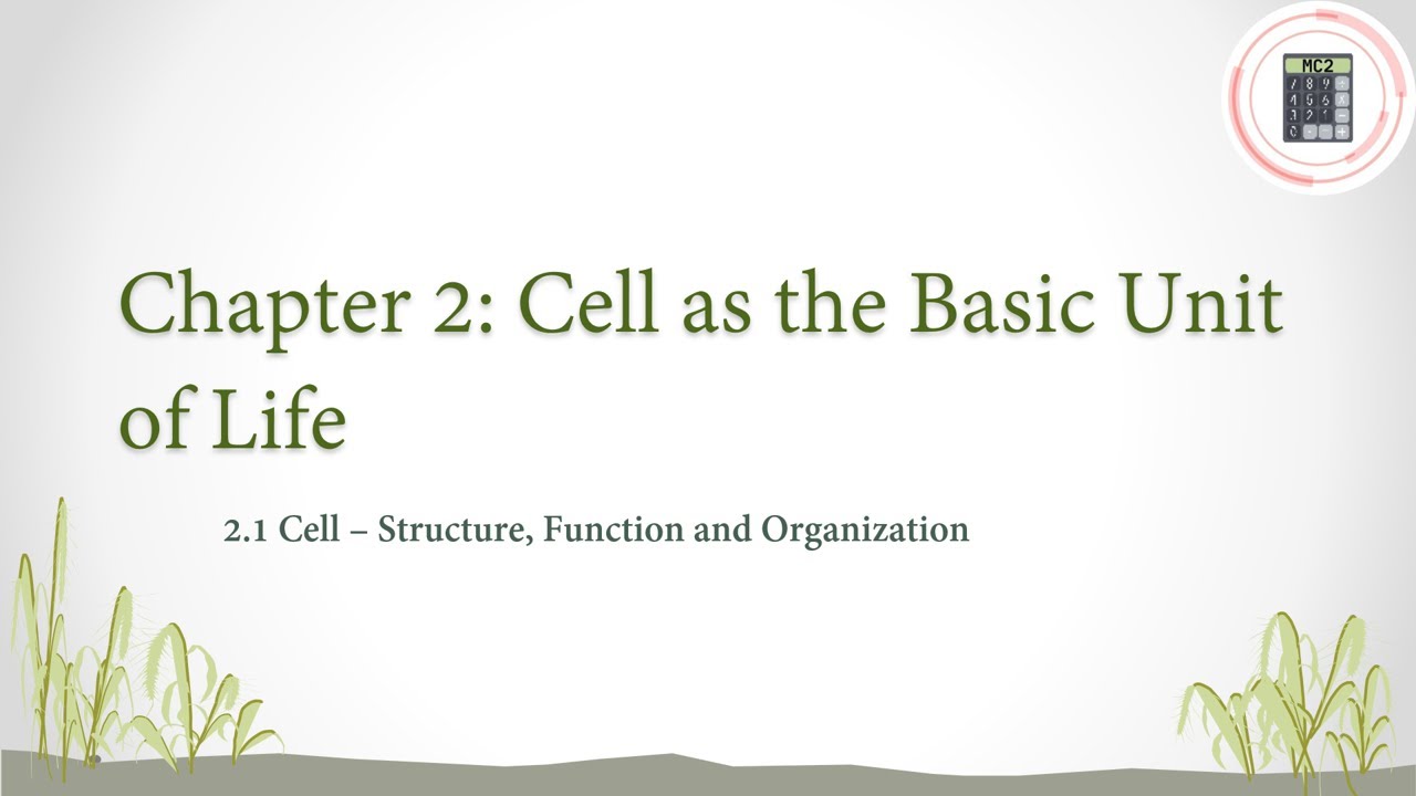 Science | Form 1 | Chapter 2 - 2.1 (Part 2) - YouTube