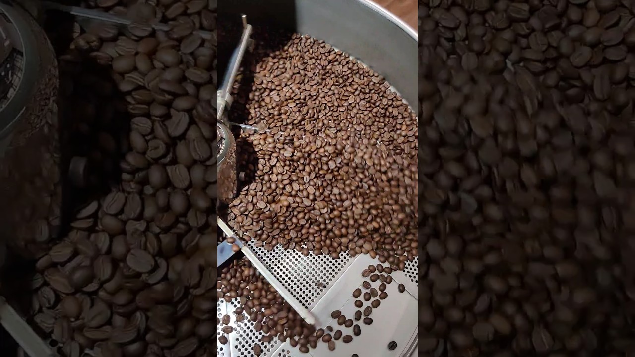 Specialty Coffee Roasting #coffee - YouTube