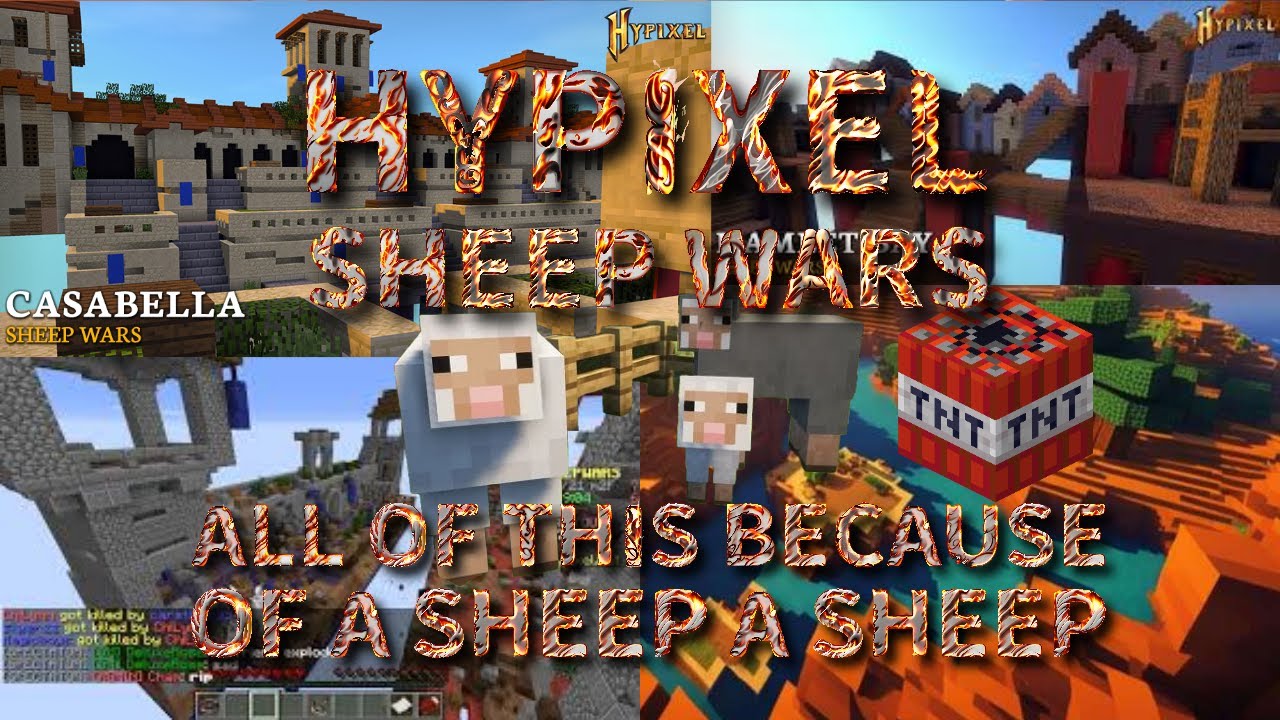 Sheep wars!! |Minecraft| - YouTube