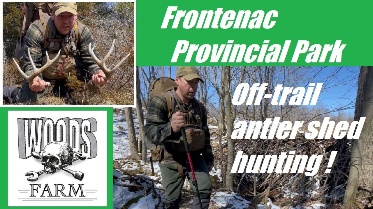 Antler Shed Hunting Trip Backpacking Frontenac - YouTube
