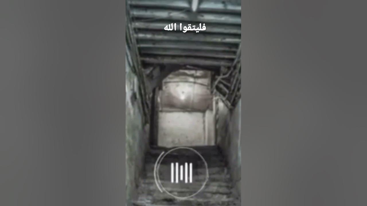 وليخش الذين لو تركوا من خلفهم ذرية ضعافا بصوت القارئ أيمن محمد
