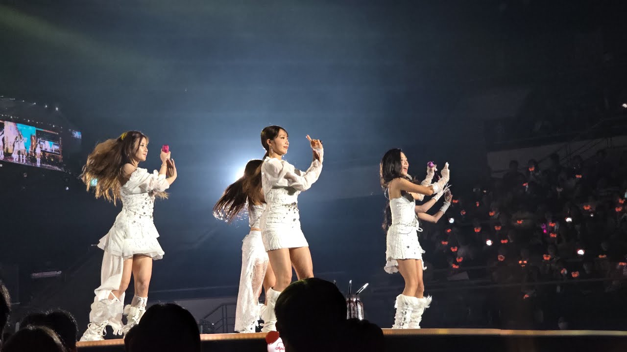 DND - Apink 에이핑크 7th CONCERT PINK CHRISTMAS in SEOUL 21/12 Part 6 - YouTube