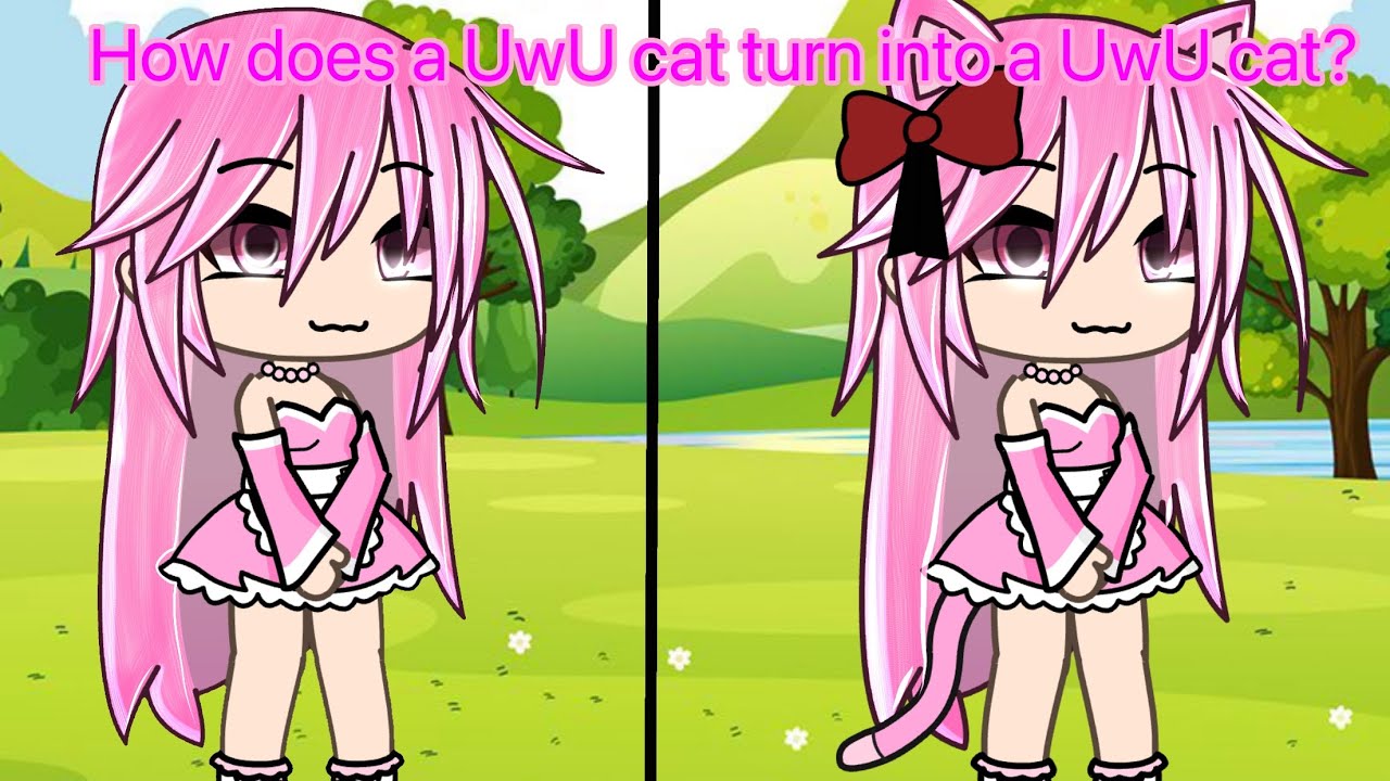 How did a UwU cat turn into a UwU cat? - YouTube