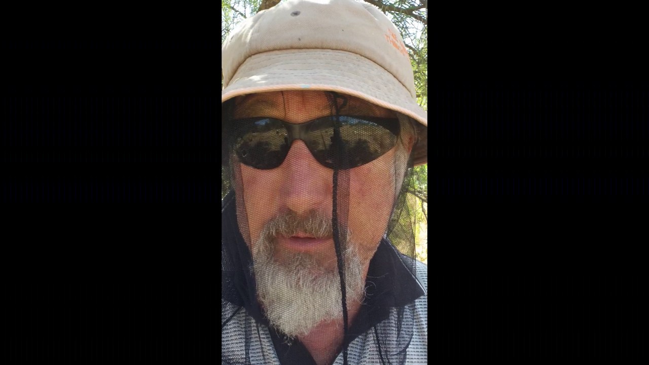 Deplorable Old White Man Talks About Dementia In Women YouTube deplorable-old-white-man-talks-about-dementia-in-women-youtube