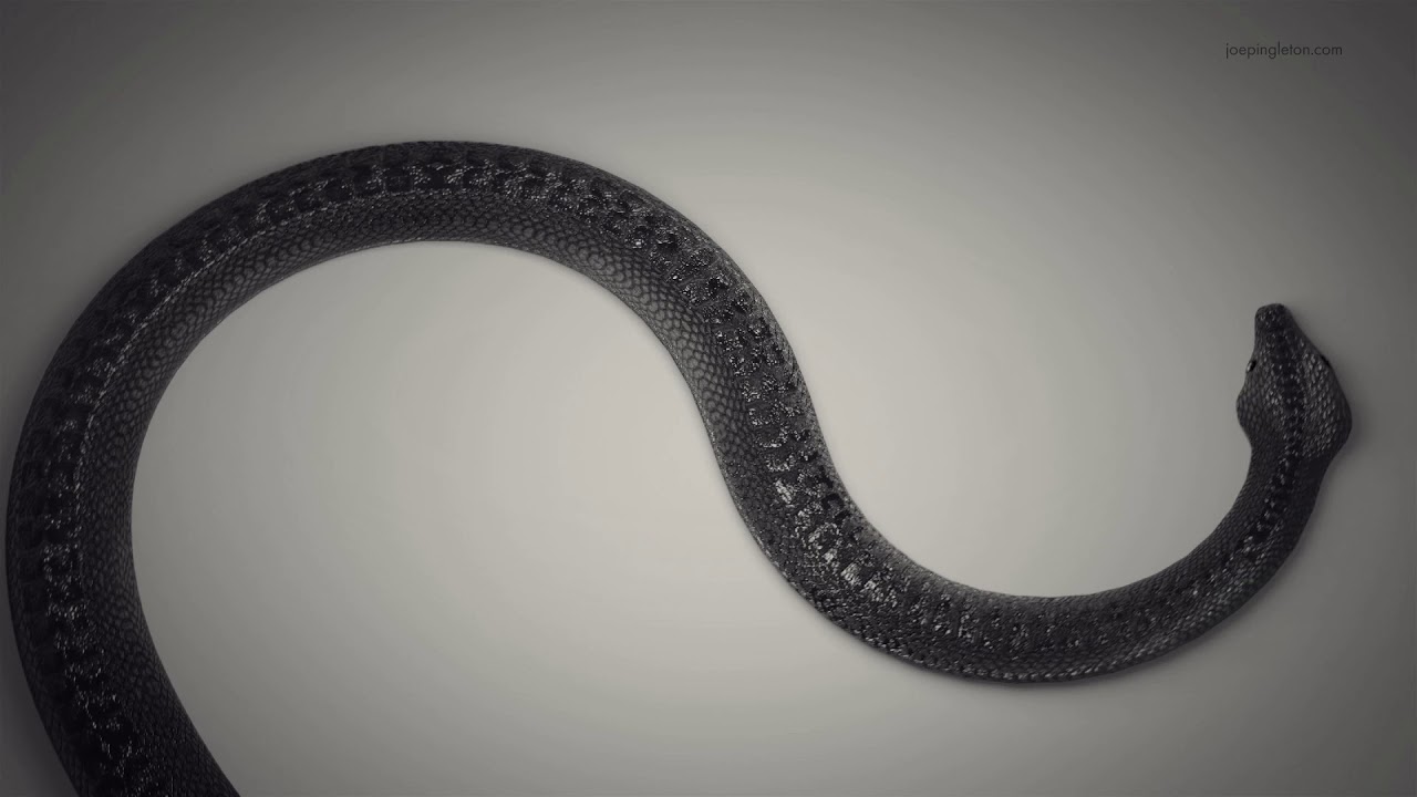 Blender Snake Animation Test 01 - YouTube