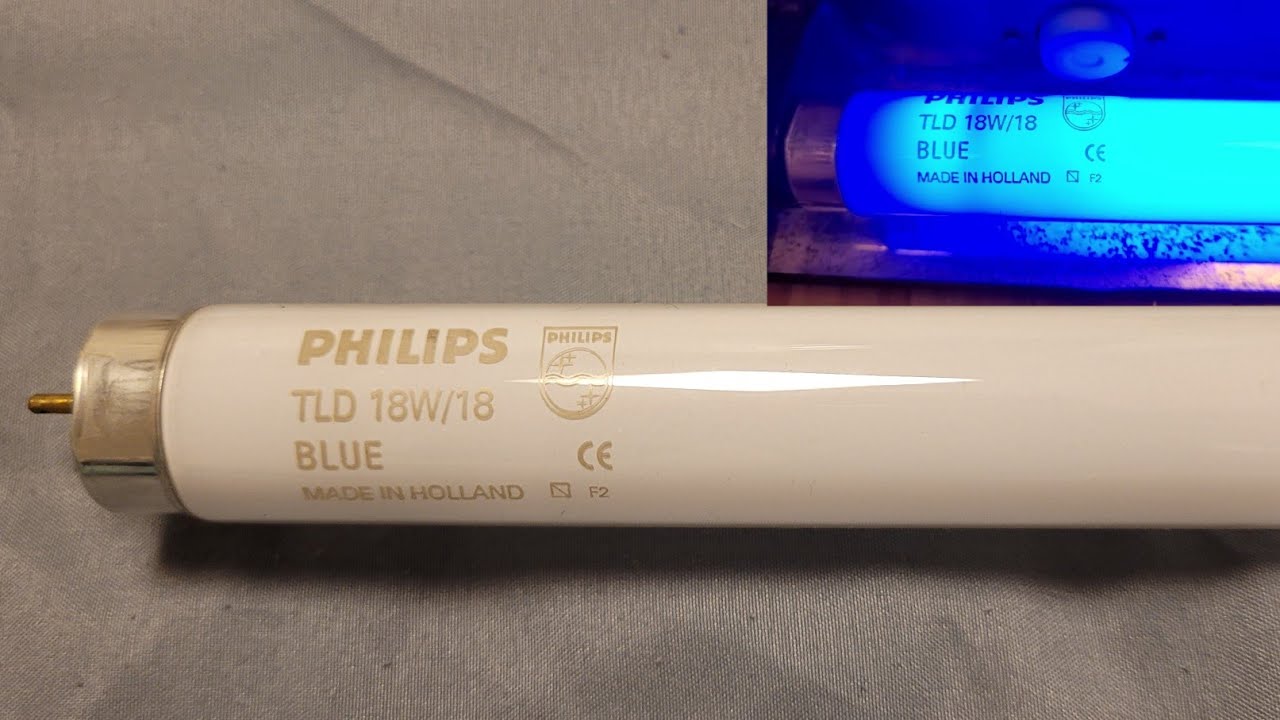 Tube fluorescent PHILIPS TLD 18W/18 BLUE T8 - YouTube