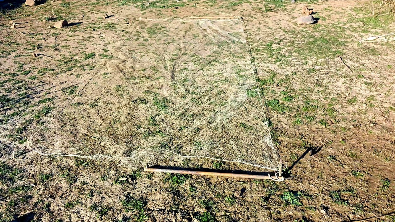 how to set up a net trap 🪤 with a spring - YouTube