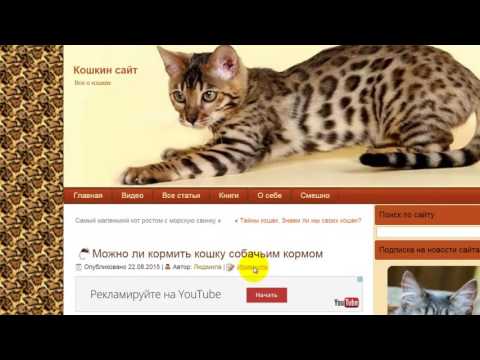 Advertur ru заработок. схема работы