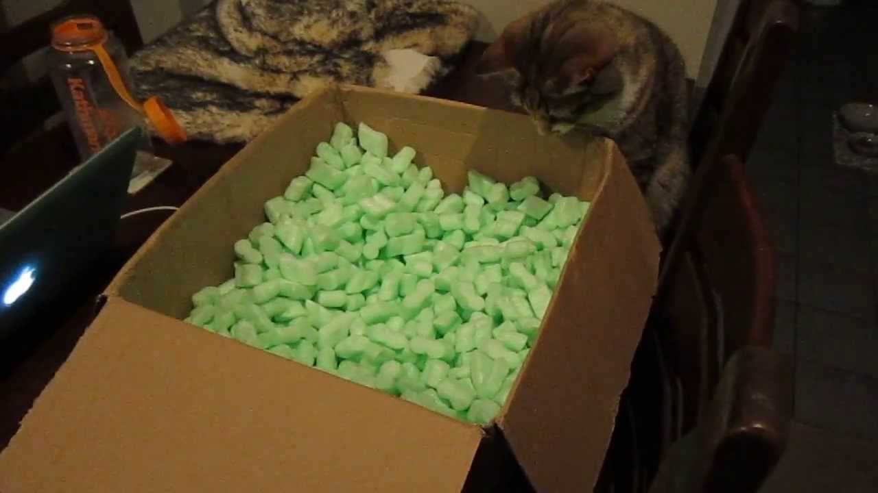 Cute cat playing with packing peanuts - YouTube