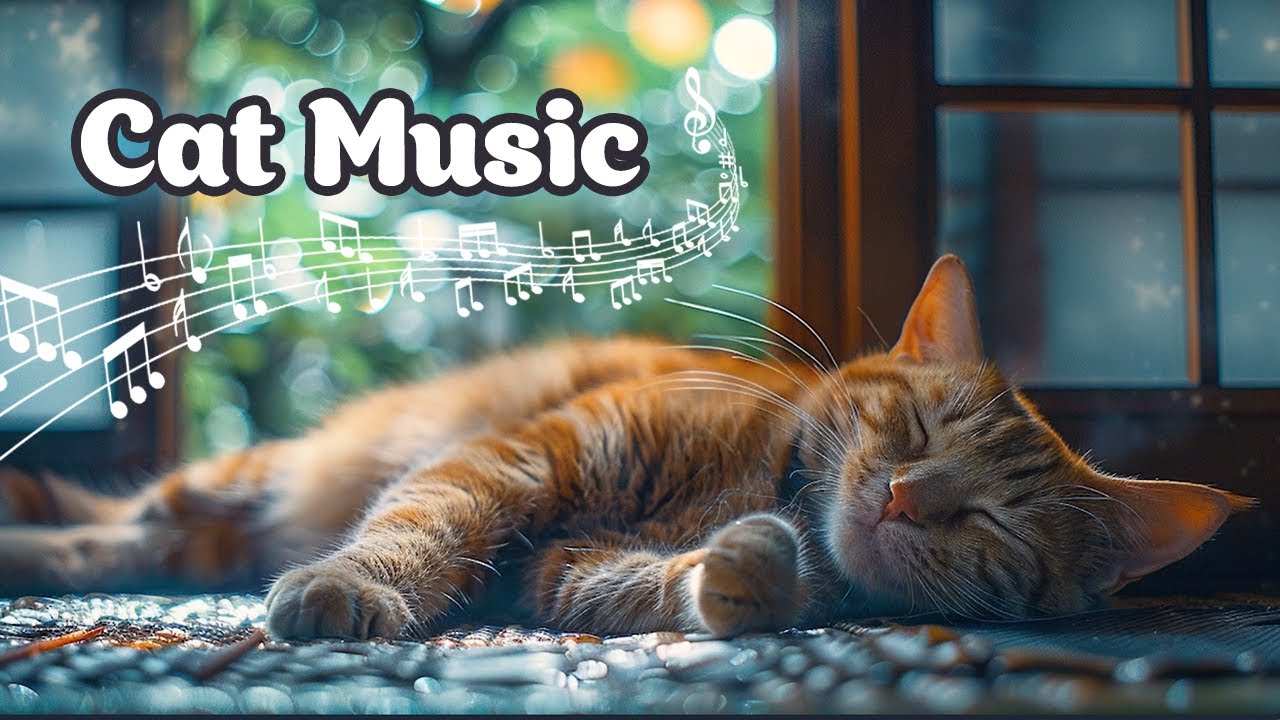 Harp Music and Rain Sounds ♫ Ultimate Relaxation for Cats and Kittens ...