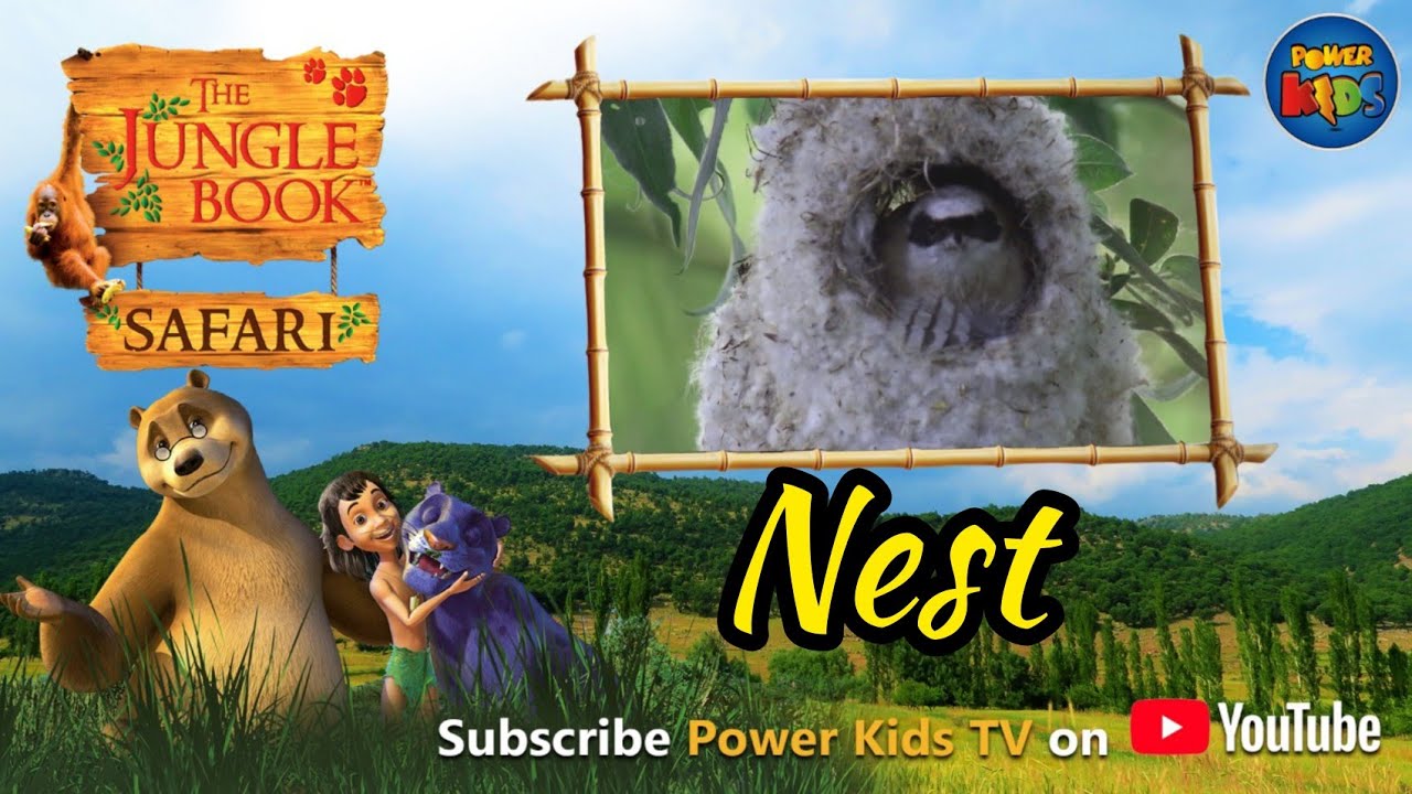 The Jungle Book Safari | Nest | Planet Animal | Animal Kingdom ...