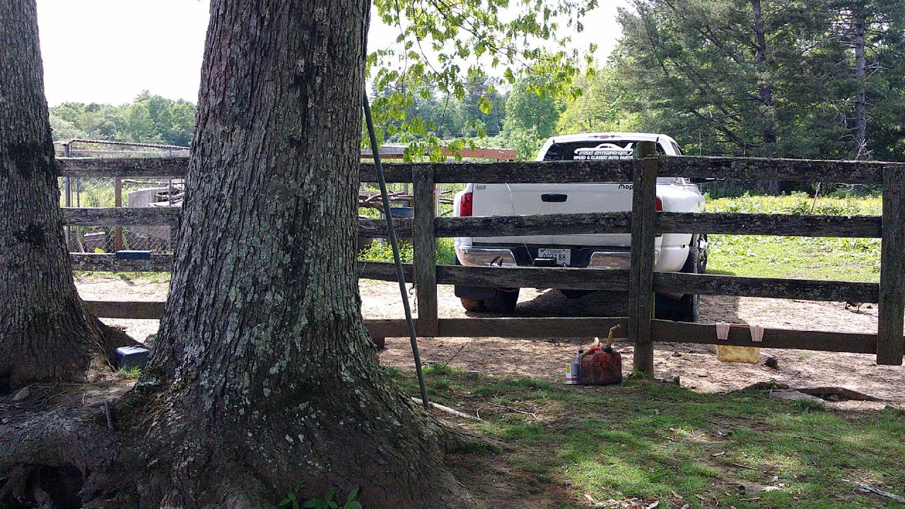 Dodge Ram vs 60-foot oak tree. Can my Ram pull a tree down into a ...