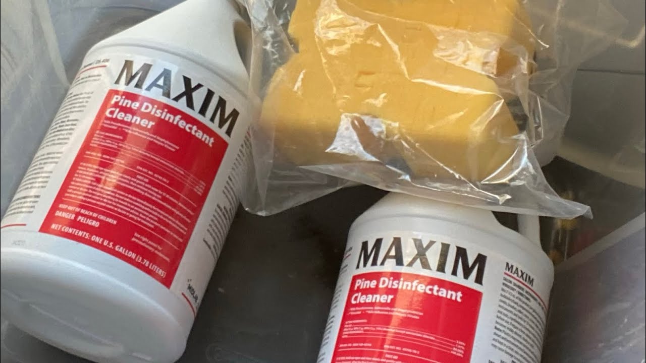 Appreciation video part 1🙏🏽🙏🏽🧡🧡, 500 plus subs! Two bottles of Maxim ...