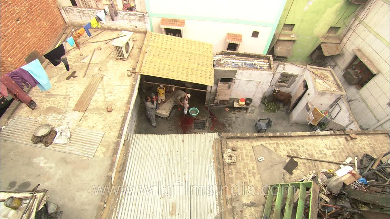 Daily life of a typical Muslim family in Delhi : home environment - YouTube